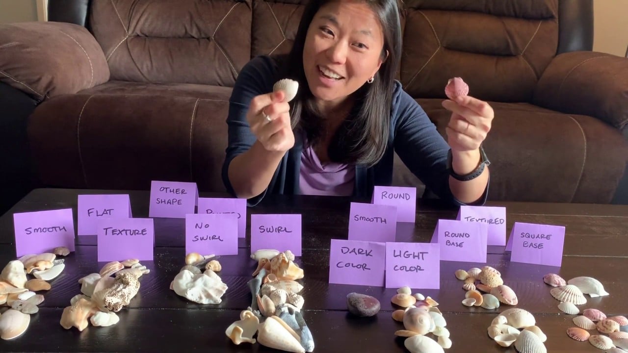 The Science of Sorting - Kidspace Children's Museum