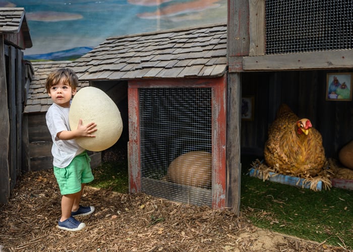 Muddy Boot Farm – Where Kids Grow the Fun | Kidspace Children’s Museum