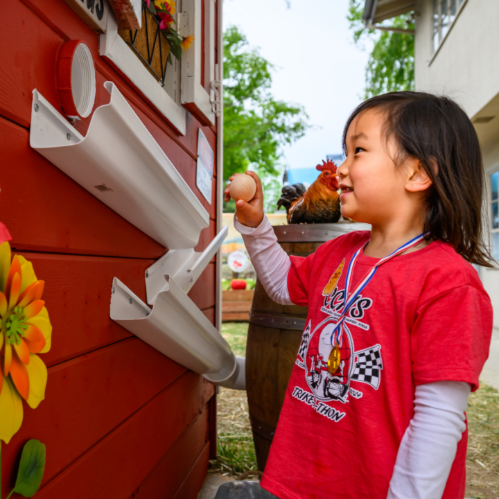Flo’s Farm: A Wish that Bloomed into a Community Gift - Kidspace ...