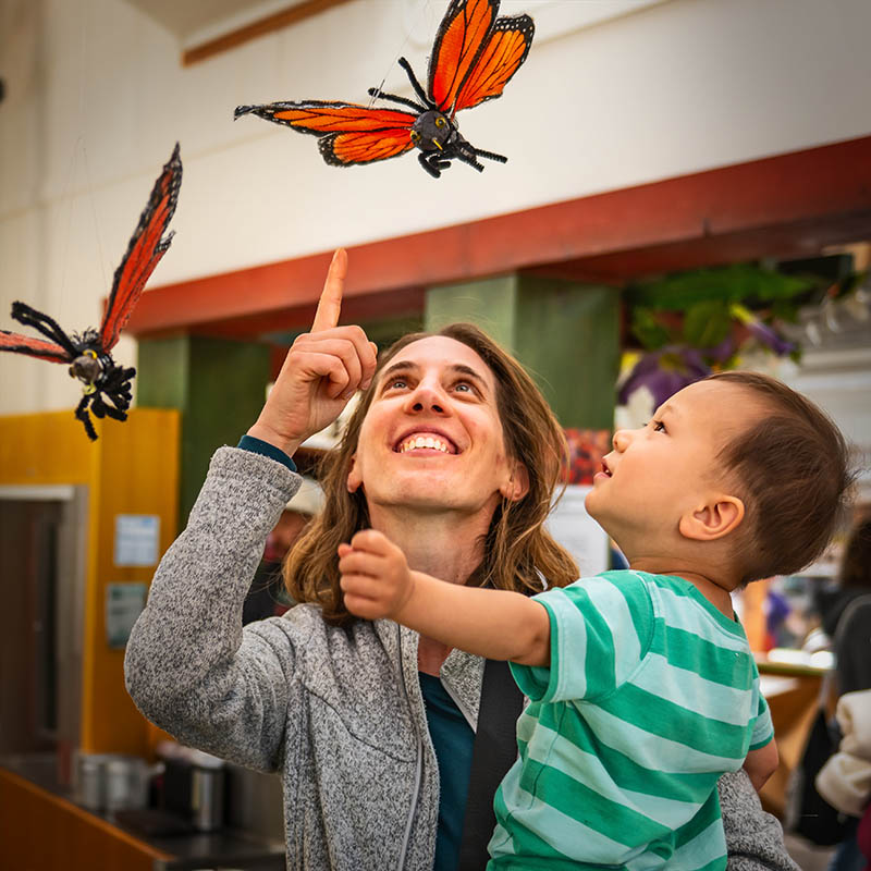 Butterfly Kaleidoscope - Kidspace Children's Museum