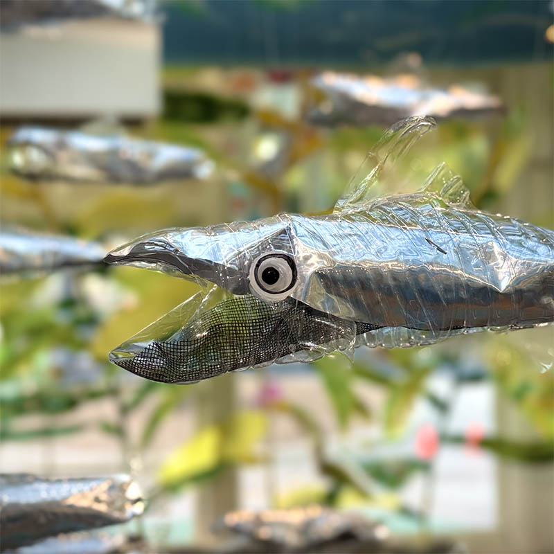 A Forest Under the Sea - Pasadena, CA | Kidspace Children's Museum